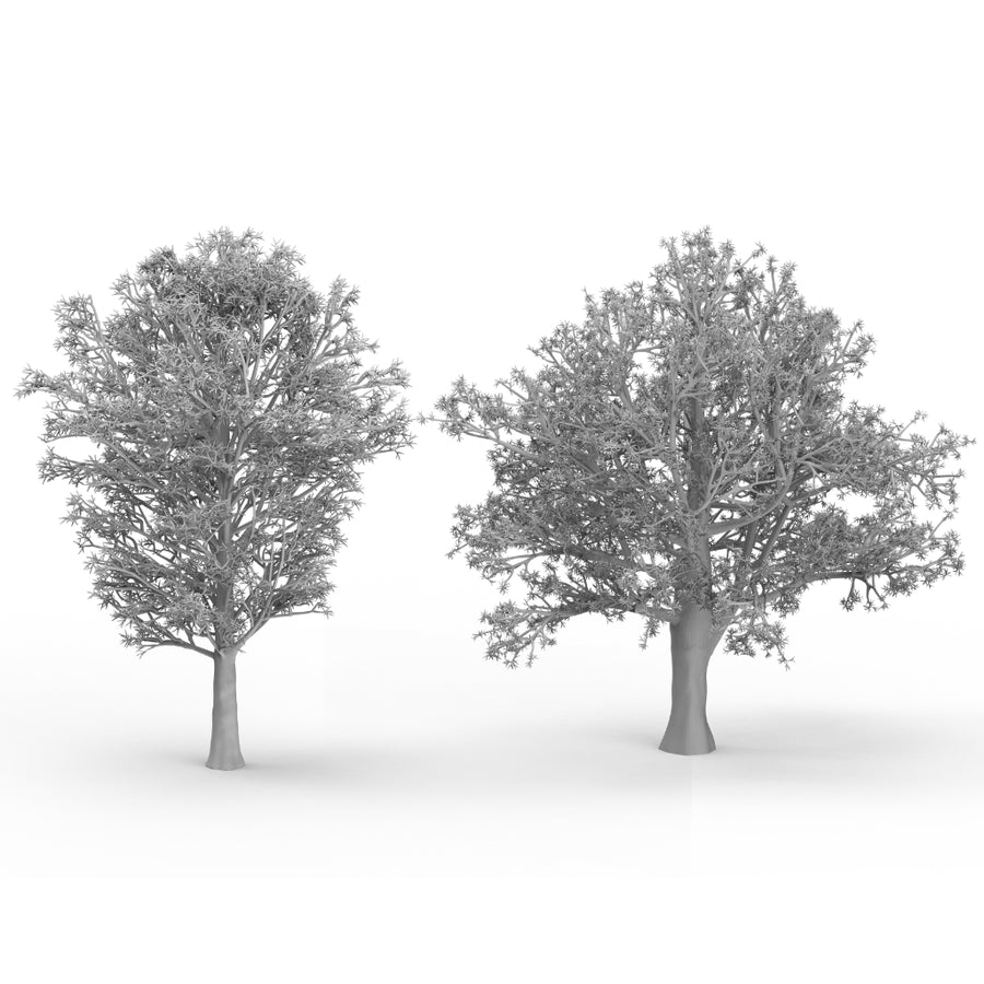 Architectural Trees - Printable Free 3D Model Resource - Inslogic 3D